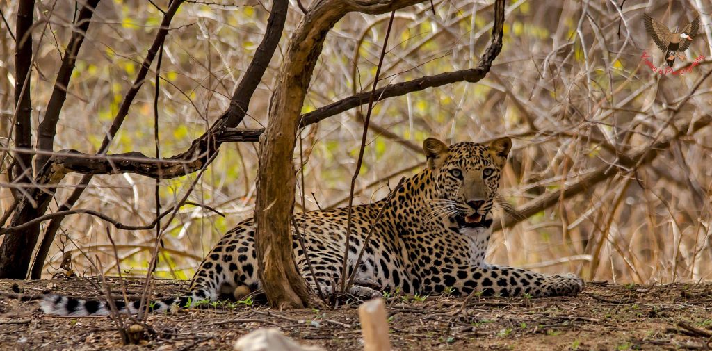 13502585_883265068444426_1152206947336780406_o - The Works of Joe ...