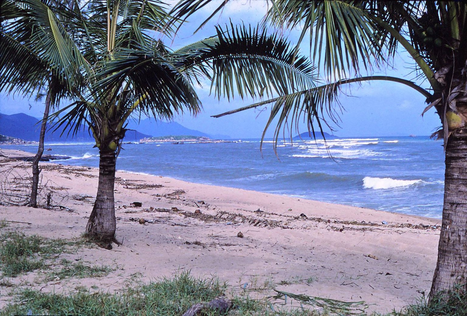 Guest Writer - Steve Tindall; Initiations - The Works of Joe Campolo Jr.